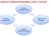 Data Processing Cycle