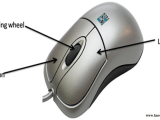 Parts Of A Computer Mouse And Its Functions Know Computing