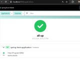 Spring Boot Actuator With Admin Server Know Program