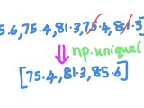 Python Numpy S Np Unique Function