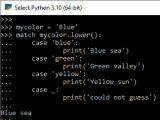 Python Match Case Statement And Case Switch Equivalent
