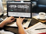 Open Source Programming Languages Explained