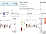 Cross Matching Purpose Types Procedure And Results Lab Tests Guide