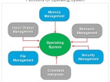 Manage And Operate