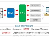 Database Management System What Is Dbms Types Of Dbms