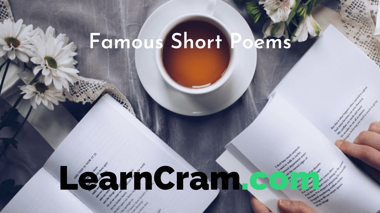 Famous Short Poems | 25 Best and Short Famous Classic Poems – Learn Cram