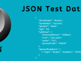 Json Test Data Learning Container