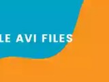 Download 2 Sample Avi Video Files Clips For Free Learning Container
