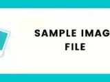 Sample Image Files Download For Testing Learning Container
