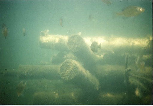 Walleye Fishing Info | How to fish for & catch Walleye