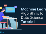 Machine Learning Algorithms For Data Science Tutorial Learnovita