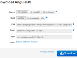 Angularjs Installation Learnovita