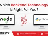 Nodejs Vs Python Which Backend Technology Do You Require The Most