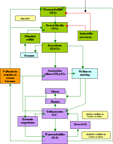 ZWAVELCYCLUS | Tsjok's blog
