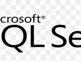 Microsoft Sql Server Logo Transparent Microsoft Sql Server Png Logo