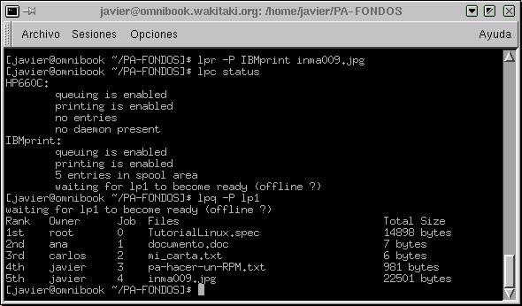 Tutorial básico sobre Linux | InformáticaESP