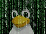 Linux Kernel We Explain The Difference Between 6 Different Types