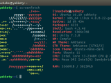 How To Quickly Get Linux System Information In Terminal With Screenfetch