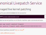 Canonical Livepatch Service Patch Linux Kernel On Ubuntu Without Reboot