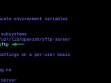 How To Setup Chroot Sftp Server In Linux