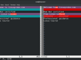 Vimdiff命令 同时编辑多个文本文件 Linux命令大全 手册