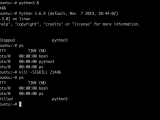 Linux Kill Command Linuxfordevices