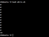 Shell Scripting 101 While Loop Condition In Bash Script Linuxfordevices