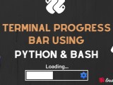 Cool Terminal Progress Bar Python And Bash Linuxfordevices