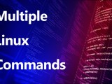 Running Multiple Linux Commands Simultaneously Real World Ucs