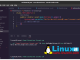Java 中的 Hello World 示例程序 Linux迷