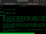 Important Curl Commands For Linux Developers