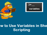 How To Use Variables In Shell Scripting
