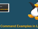 Linux Unix Awk Command Tutorial With Examples