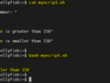 How To Use If Statement In Bash Scripting