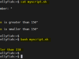 How To Use If Statement In Bash Scripting