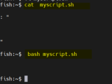 How To Use If Statement In Bash Scripting