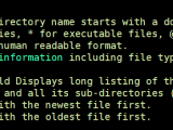 14 Useful Ls Command Examples In Linux