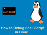 How To Add Comments In Shell Scripts With Examples