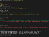 How To Debug A Bash Shell Script In Linux