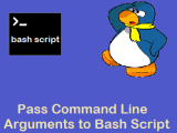 How To Pass Command Line Arguments To Bash Script