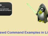 12 Funny Commands Of Linux That Can Make You Laugh