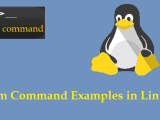 10 Rm Command Examples For Linux Beginners