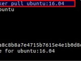 Docker Pull Command