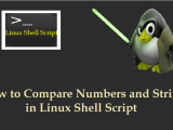 How To Compare Numbers And Strings In Linux Shell Script