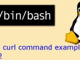 Linux Curl Command Examples Part 2