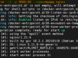 20 Useful Docker Command Examples In Linux