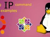 12 Ip Command Examples For Linux Users