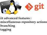 10 Quick Linux Tail Command With Examples