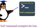 18 Quick Lsof Command Examples For Linux Geeks