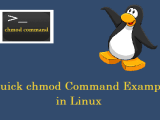 9 Quick Chmod Command Examples In Linux